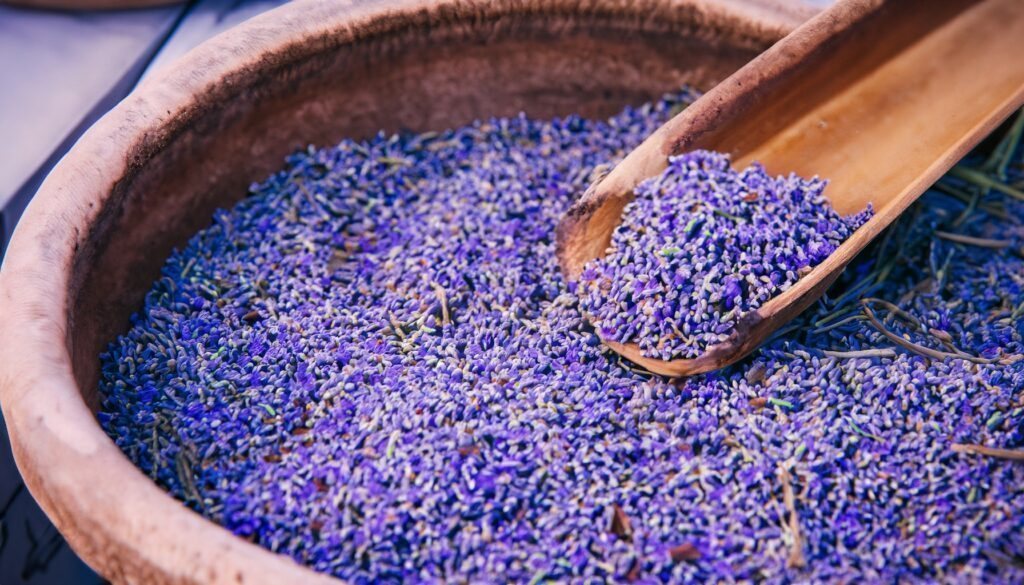 A History of Lavender