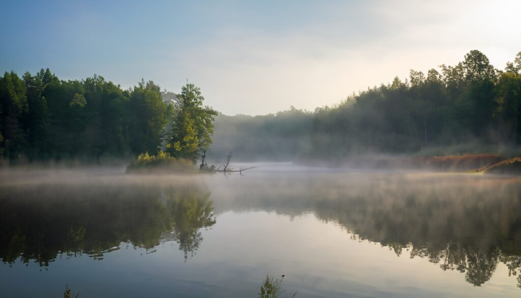 Unwind and Relax: 24 Calming Aromas to Soothe Your Senses and Create ...